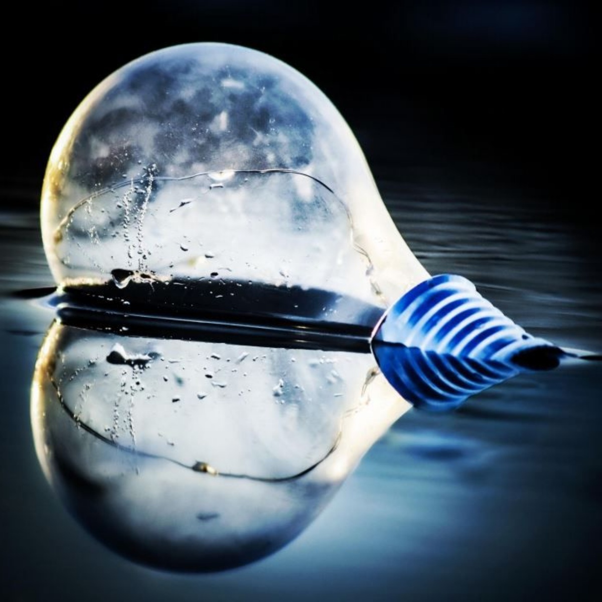 Worthing High School - Winners of Self Reflection Photography Competition